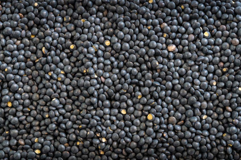 Organic Black Lentils - Fieldstone Organics